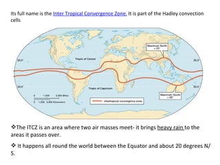 The Savanna Ecosystem | PPT
