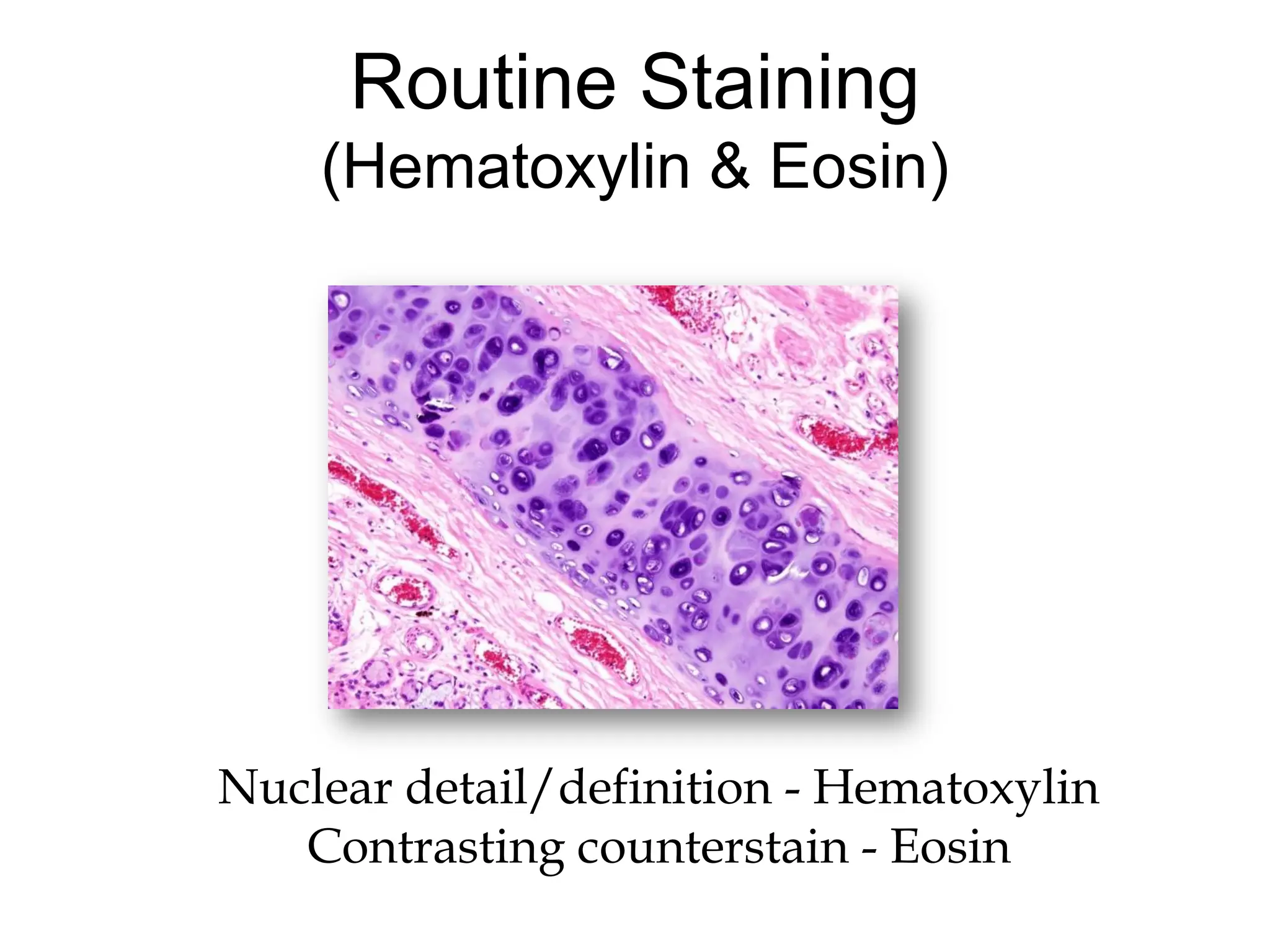 the-science-and-application-of-hematoxylin-and-eosin-staining-6-5-2012.pdf