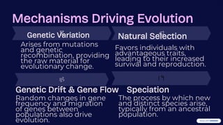 The-Science-of-Evolution-An-Overview (2)(1).pdf
