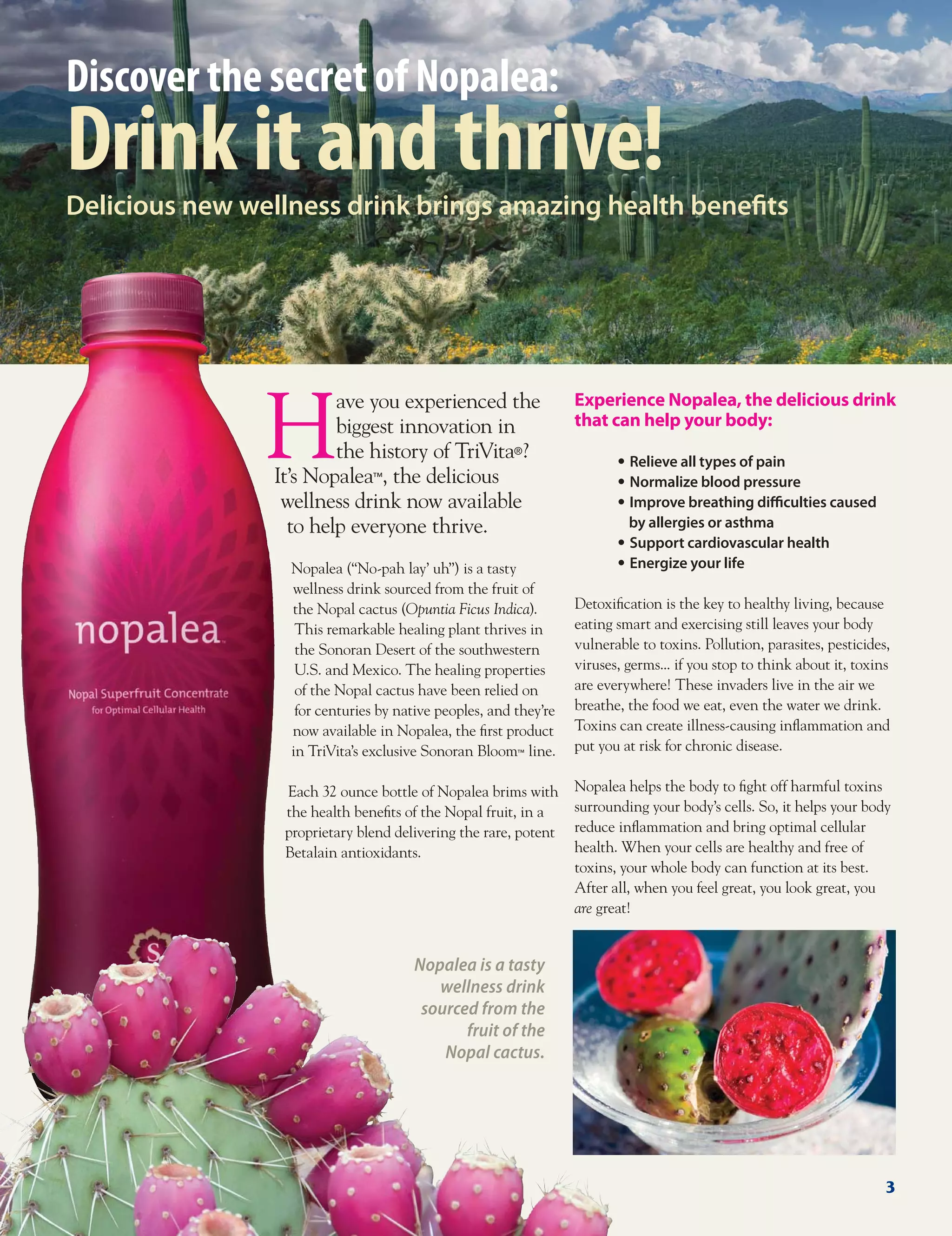The secret-killer-brochure | PDF | Herbs and Supplements | Alternative ...