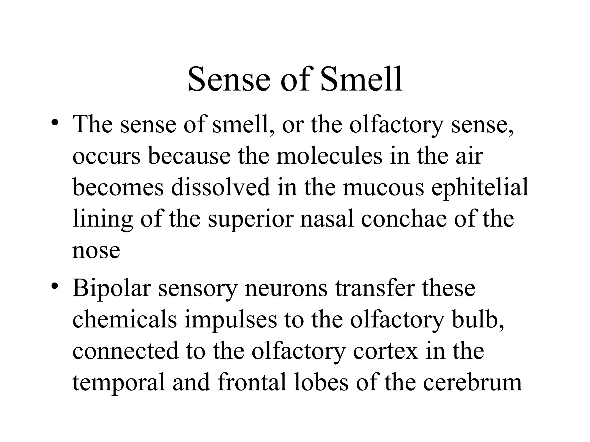 The Senses of Hearing, taste and vision | PPT