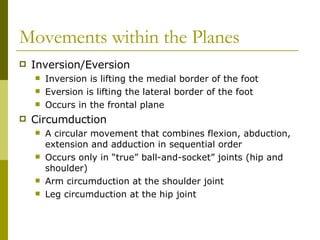 The Skeletal System | PPT