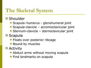 The Skeletal System | PPT