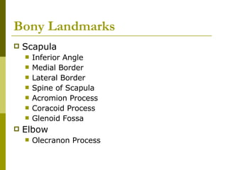 The Skeletal System | PPT
