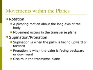 The Skeletal System | PPT