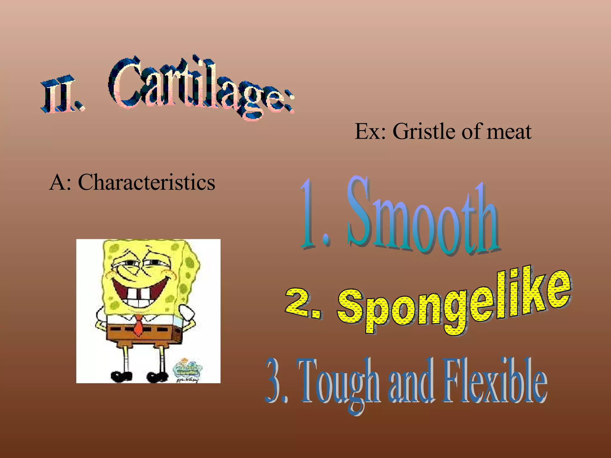 The Skeletal System | PPT | Death, Injury, or Military Conflict ...