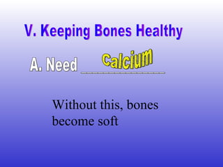 The Skeletal System | PPT