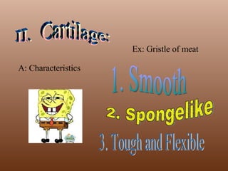 The Skeletal System | PPT