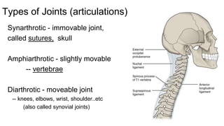 The-Skeletal-System in purposive communication_2.pptx