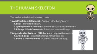 The-Skeletal-System_Nesperos-2-27-25.pptx