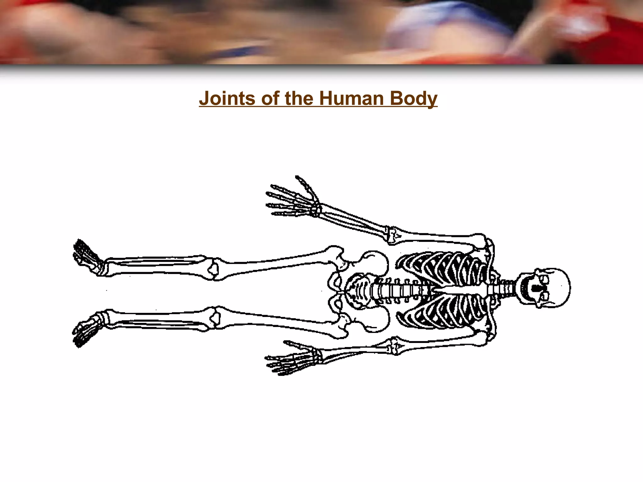 The Skeleton And Joints Wk3 | PPT