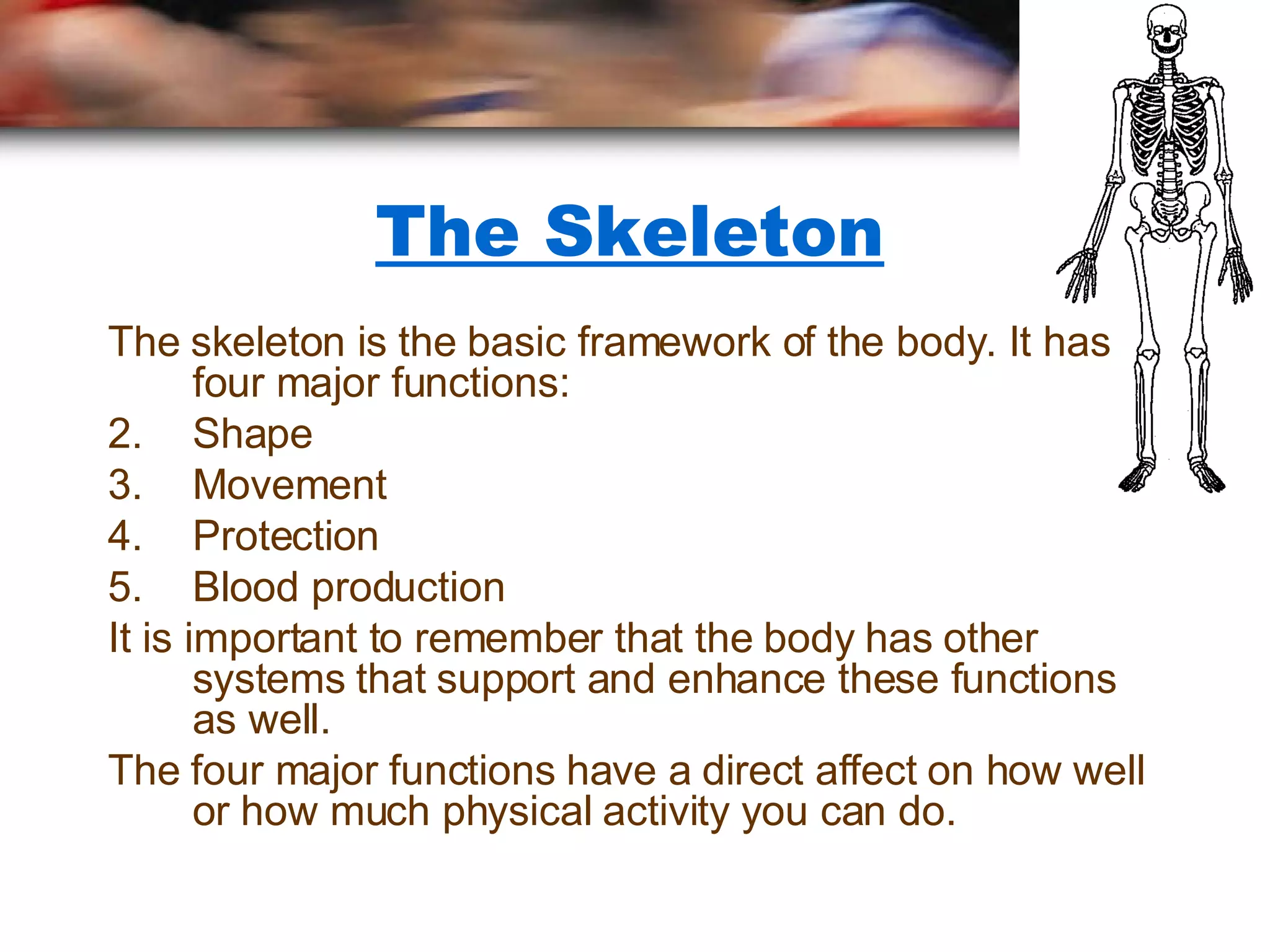 The Skeleton And Joints Wk3 | PPT