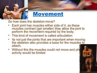 The Skeleton And Joints Wk3 | PPT