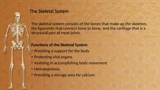 Skeletal System with Description and explanation | PPTX
