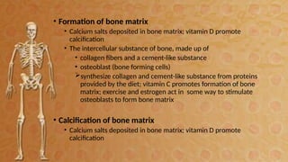 Skeletal System with Description and explanation | PPTX