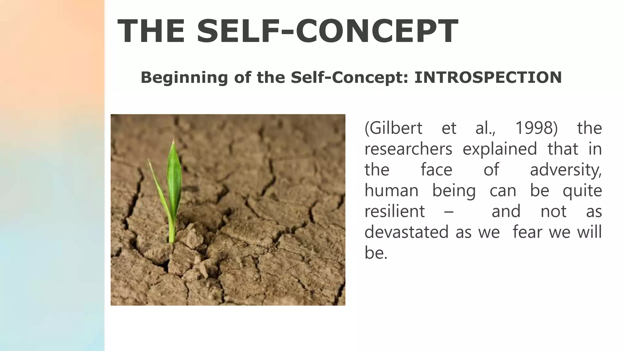 The Social Self | PPTX