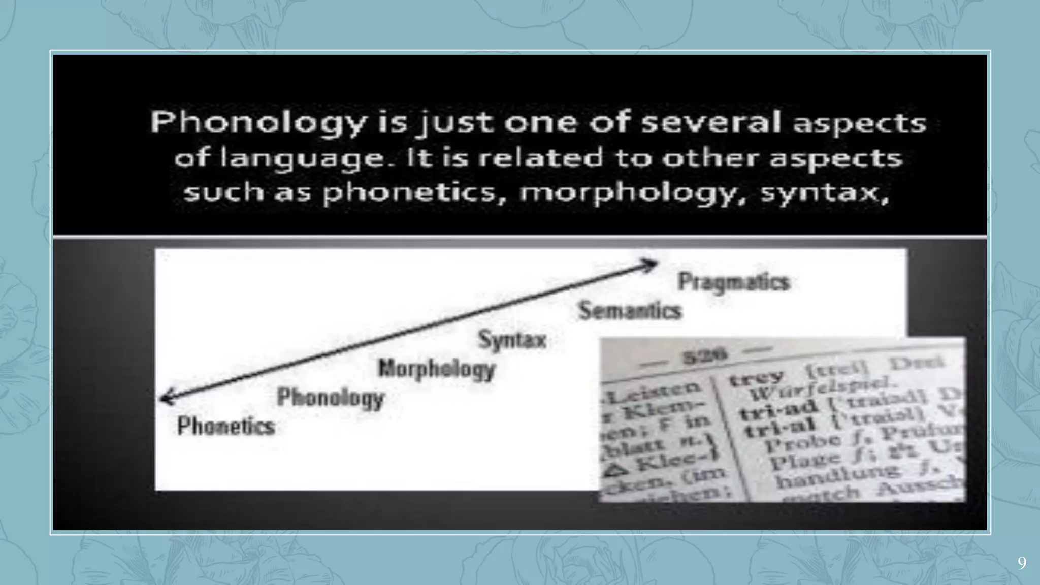 The-Sound-Patterns-of-Language.pdf