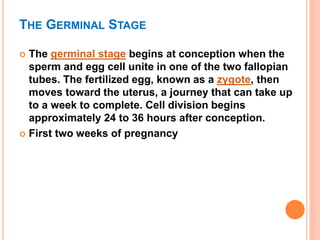 The stages-of-development-and-developmental-task | PPTX