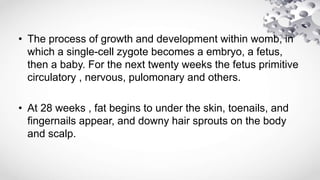 The stages-of-development-and-developmental-task | PPTX