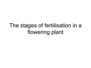 The stages-of-fertilisation-in-a-flowering-plant | PPT