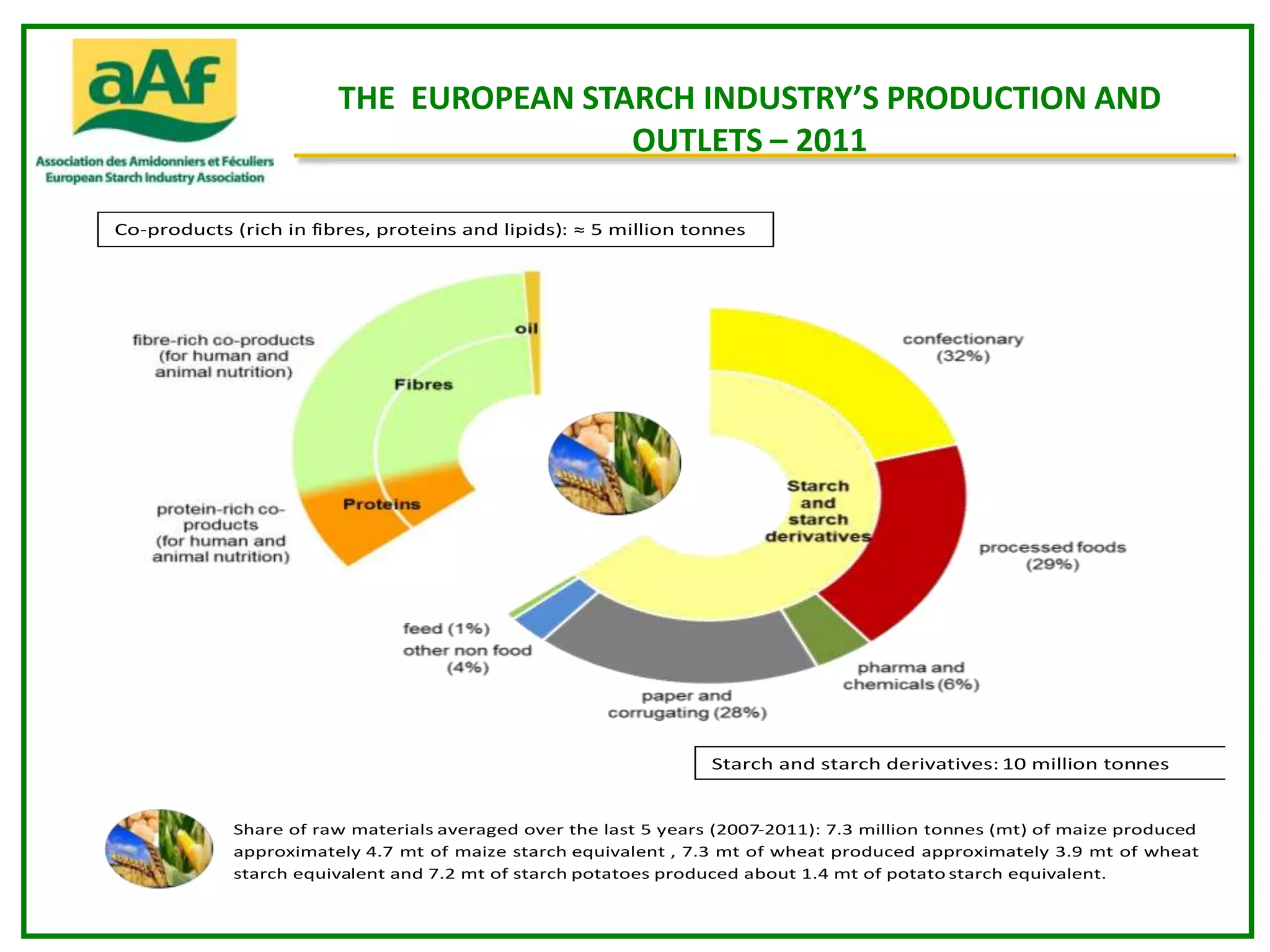 The starch-industry-2013 | PPTX