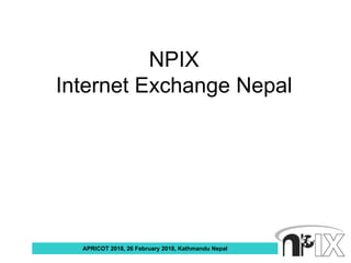 The Story of npIX | PDF