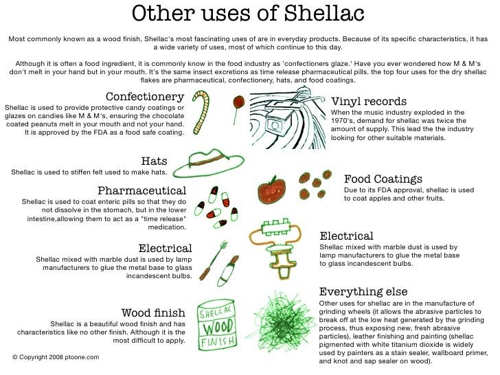 The story of Shellac and the Laccifer Lacca (Lac Beetle)