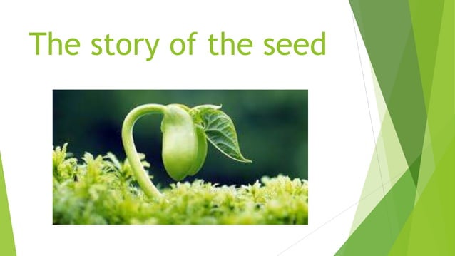 The-story-of-the-seed. PowerPoint presentation | PPTX