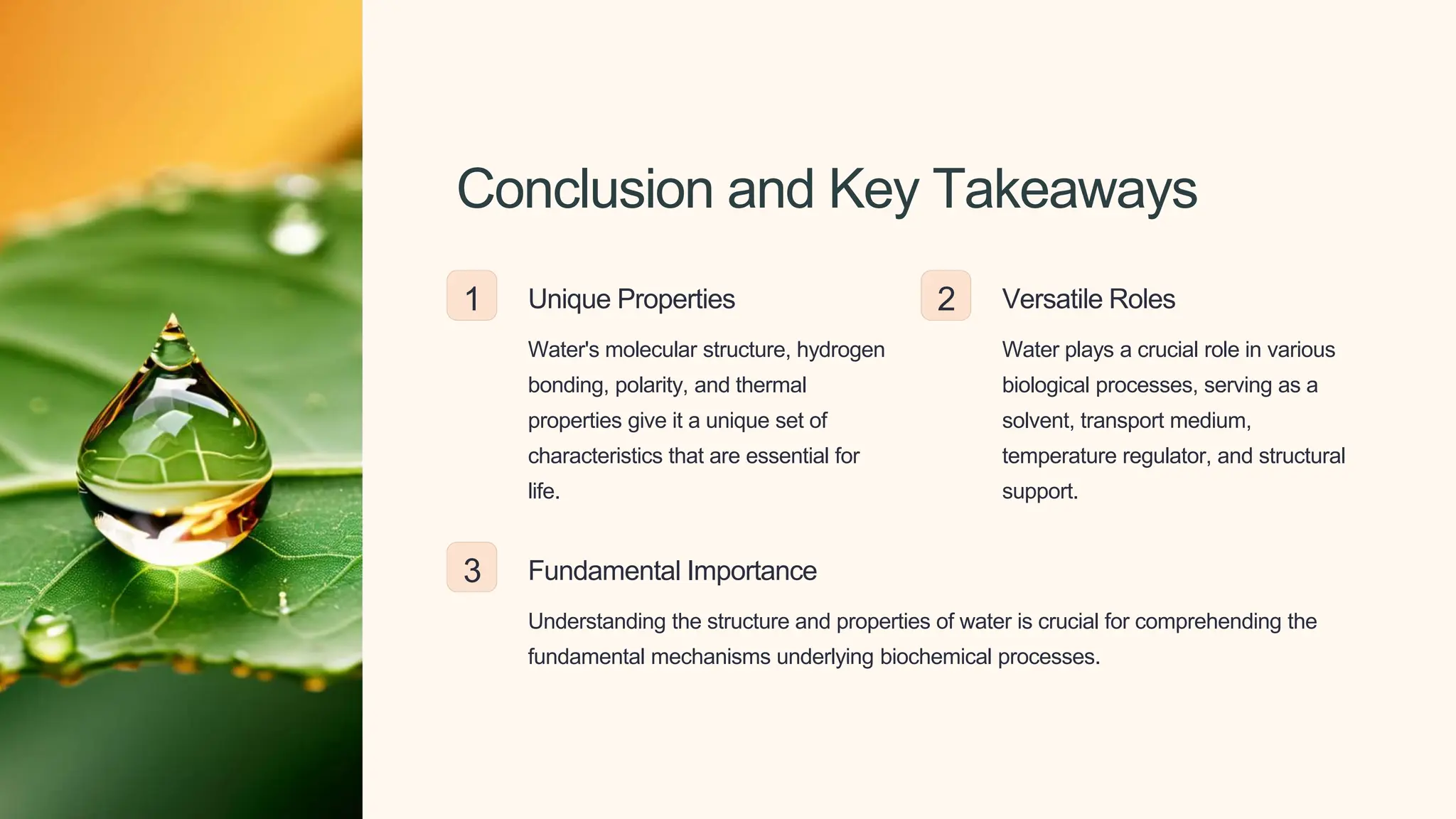 The-Structure-and-Properties-of-Water (1).pptx