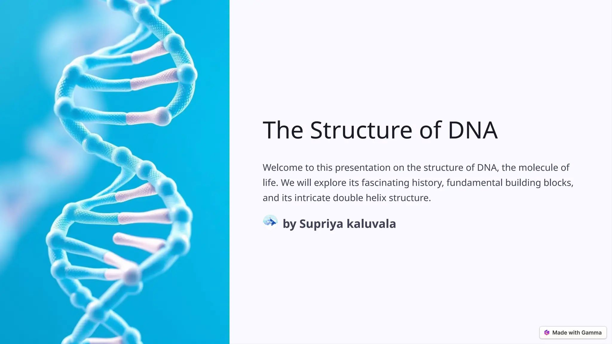 The-Structure-of-DNA. Nucleotides and nu | PPTX