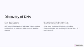 The-Structure-of-DNA. Nucleotides and nu | PPTX