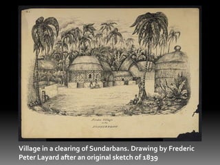 The sundarbans | PPTX