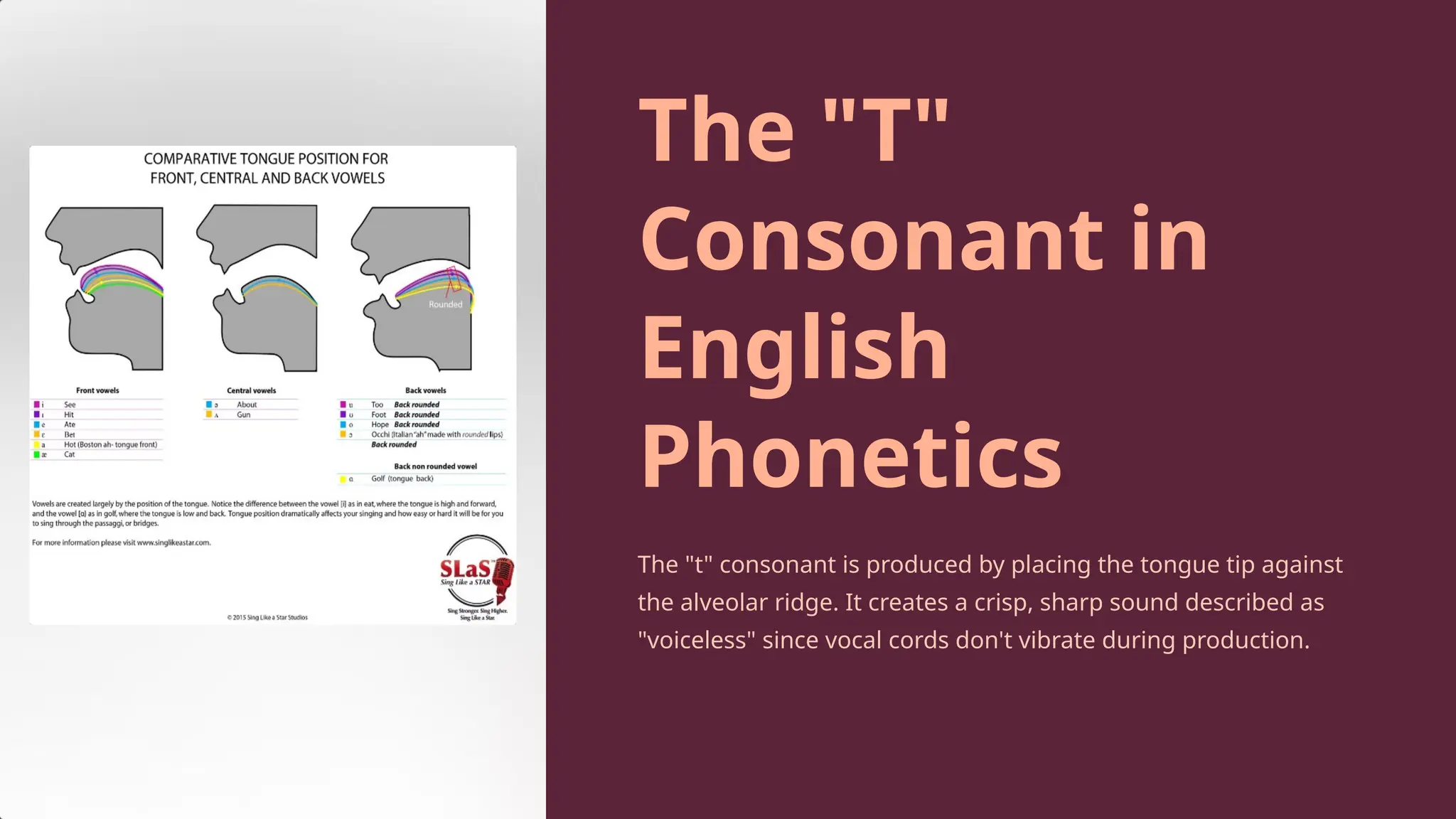 The-T-Consonant-in-English-Phoneticspptx | PPT
