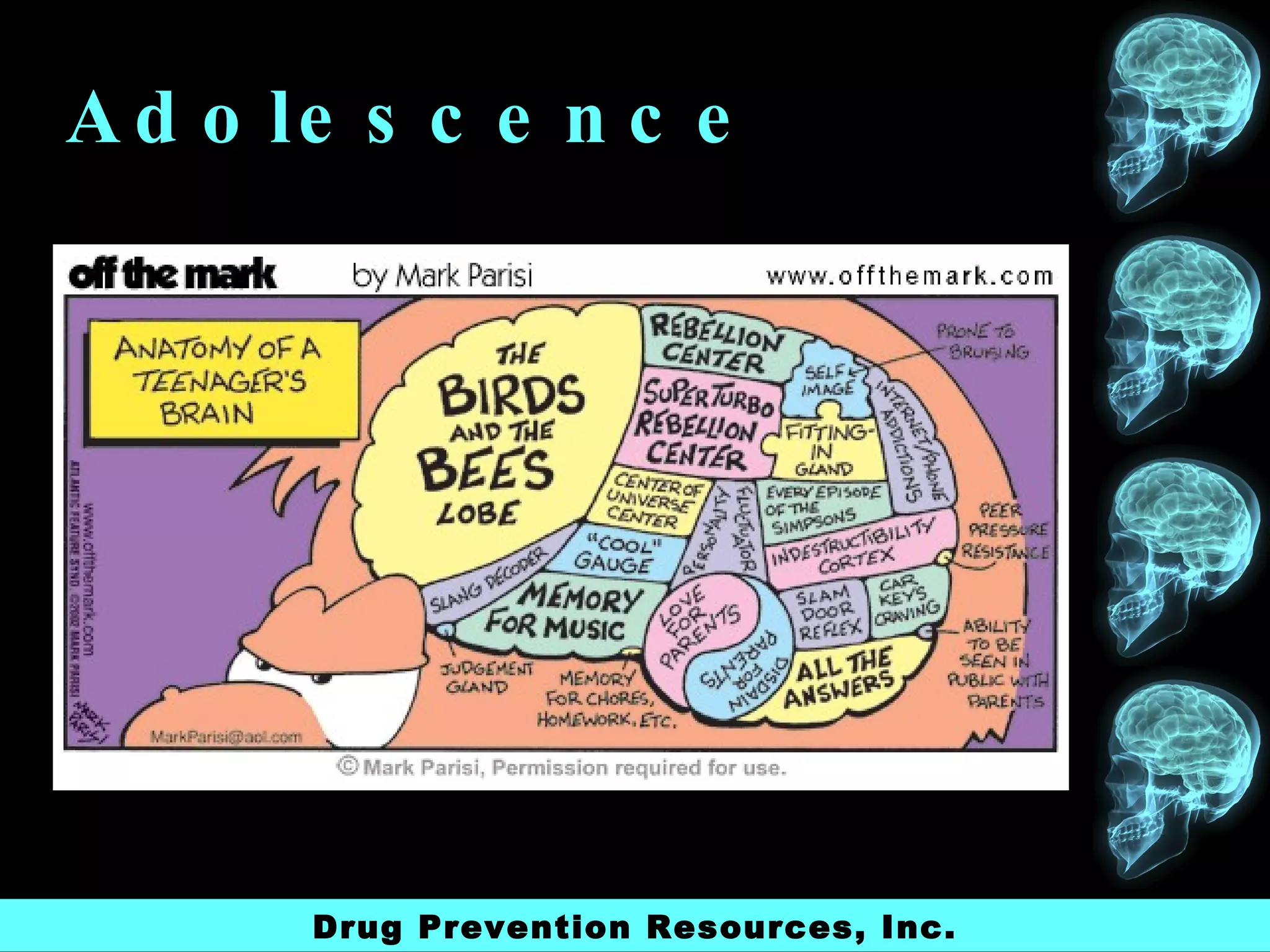 The Teen Brain | PPT | Brain and Nervous System Disorders | Diseases ...