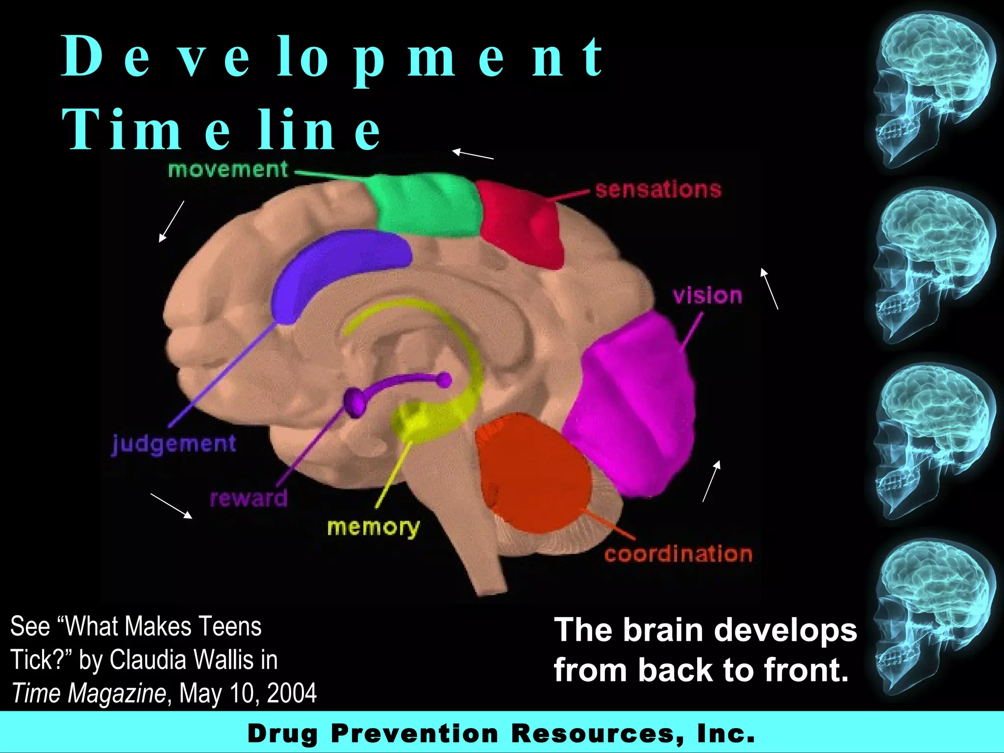 The Teen Brain | PPT | Brain and Nervous System Disorders | Diseases ...