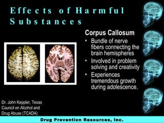 The Teen Brain | PPT | Brain and Nervous System Disorders | Diseases ...