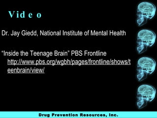 The Teen Brain | PPT | Brain and Nervous System Disorders | Diseases ...