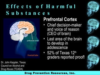 The Teen Brain | PPT | Brain and Nervous System Disorders | Diseases ...