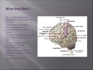 The Teenage Brian - Revised | PDF