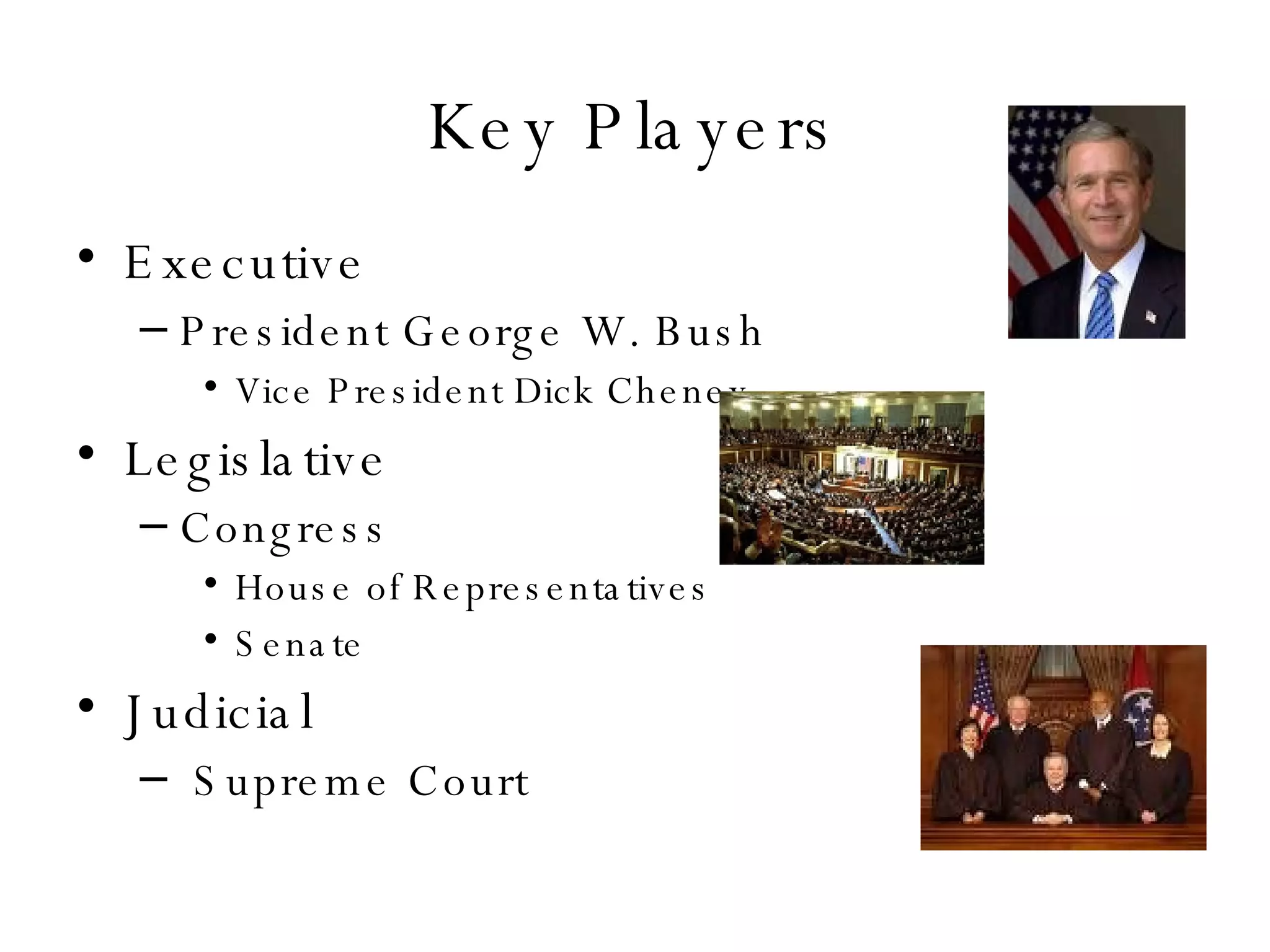 The Three Branches of Government (Unit 3 Project) | PPT