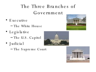 The Three Branches of Government (Unit 3 Project) | PPT