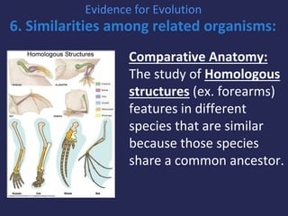 The-TIES-Middle-School-Evolution-Presentation-1-1.pptx