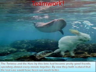 The Tortoise and the Hare *Unabridged and Unrated* "A Teamwork Fable" | PPT