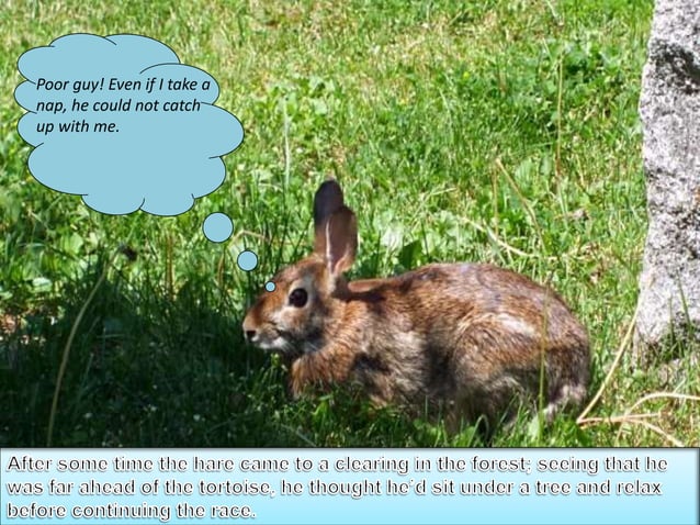 The Tortoise and the Hare *Unabridged and Unrated* "A Teamwork Fable" | PPT