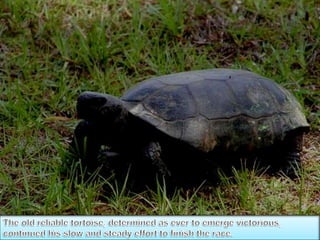 The Tortoise and the Hare *Unabridged and Unrated* "A Teamwork Fable" | PPT