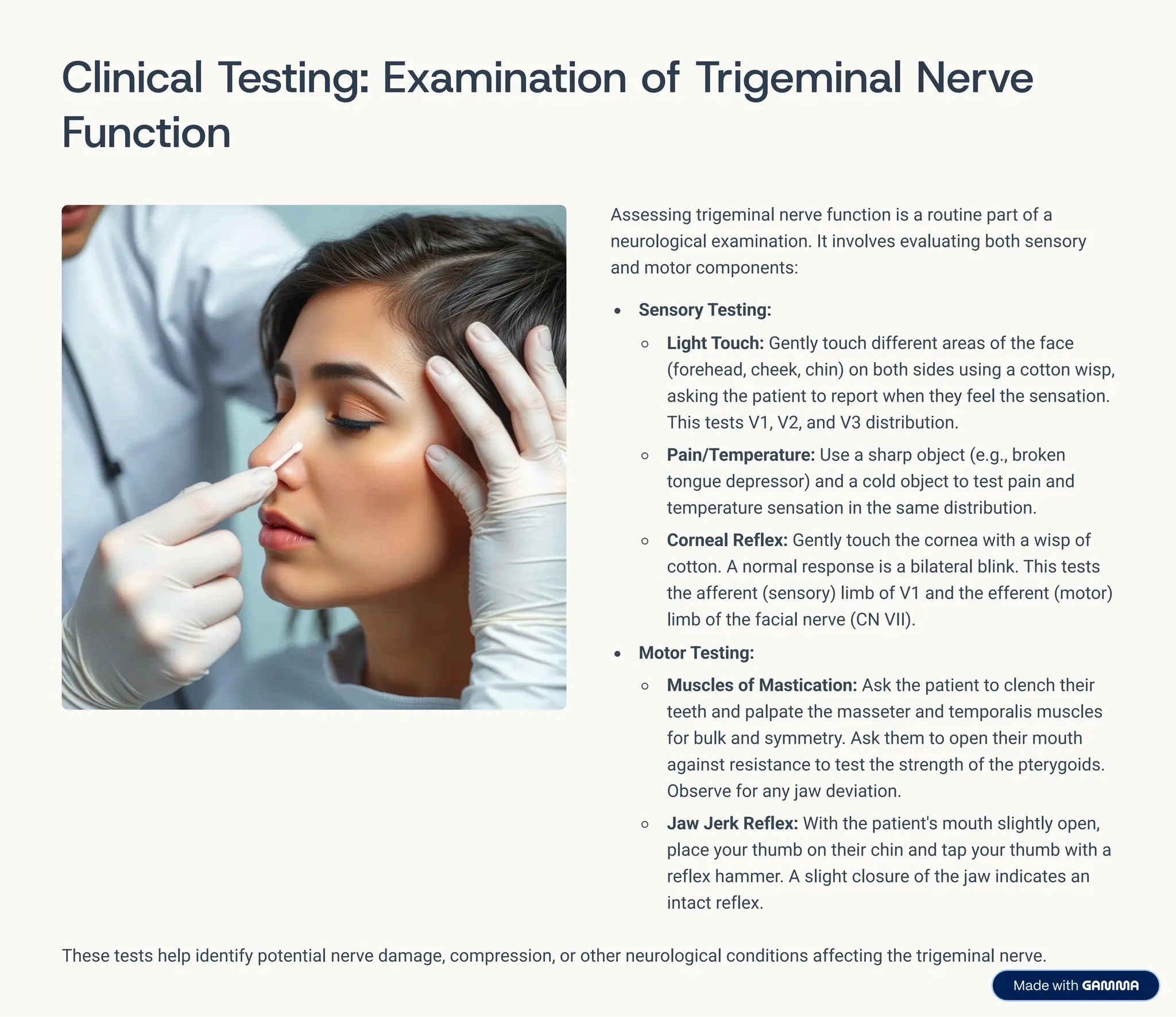 The-Trigeminal-Nerve-Unveiling-the-Fifth-Cranial-Nerve-CN-V.pdf
