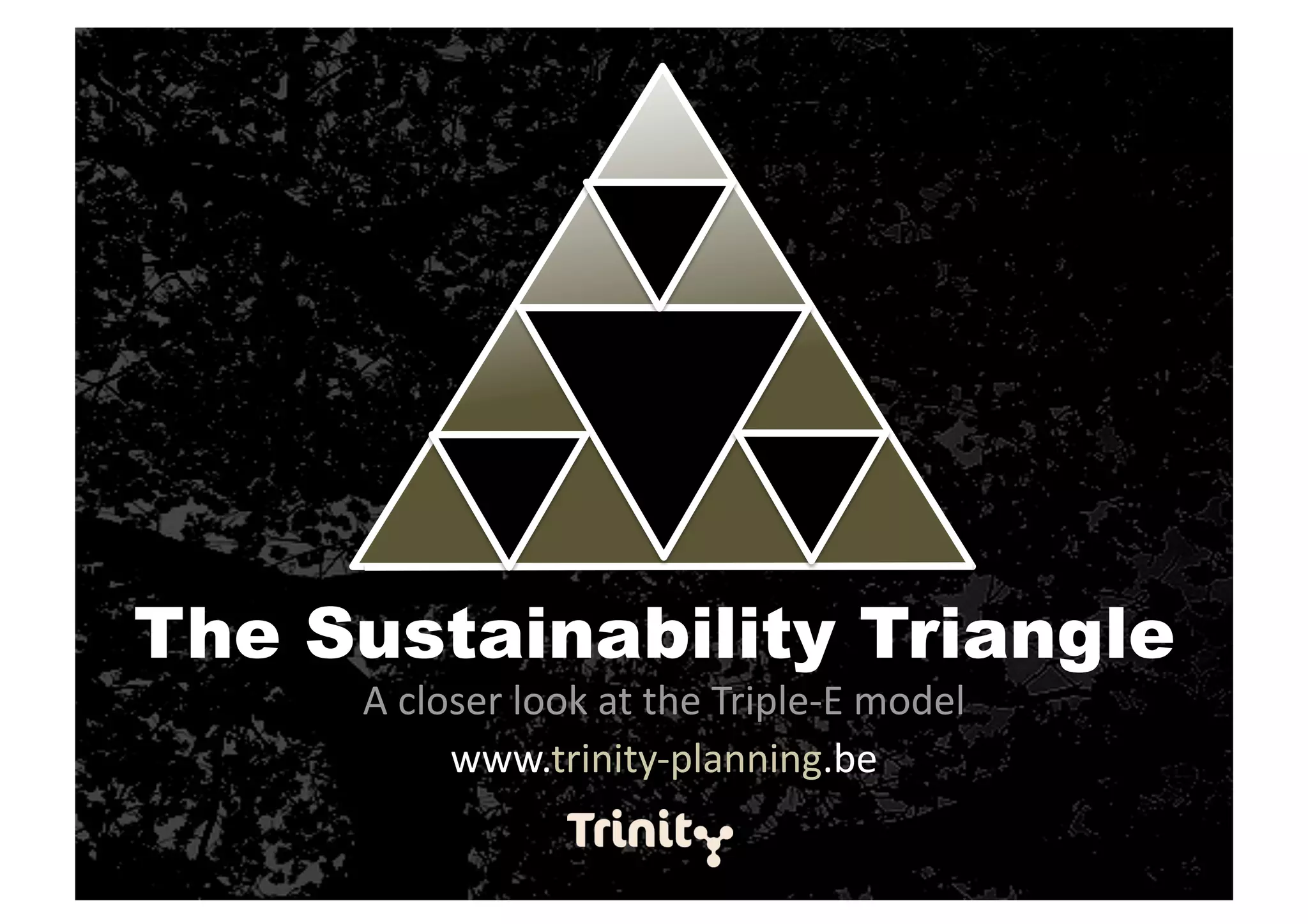 The Triple E Model | PDF