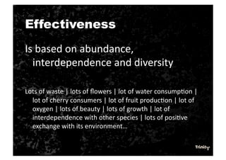 The Triple E Model | PDF