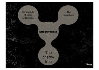 The Triple E Model | PDF