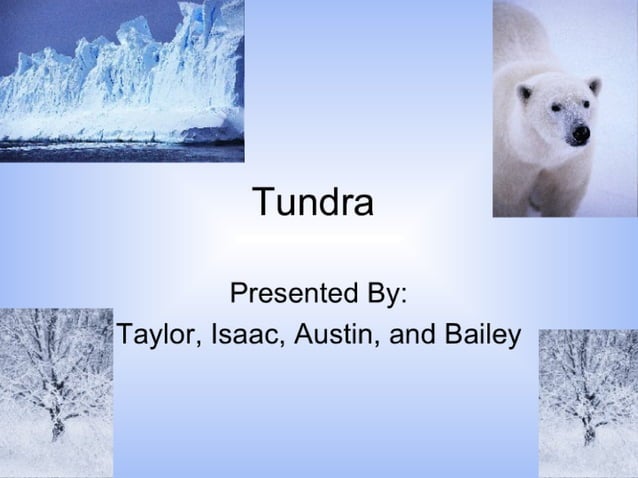 The Tundra | PDF